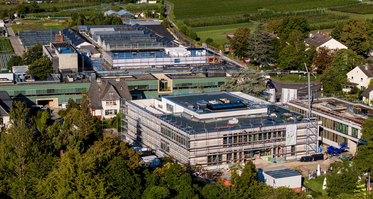 Hochschule Geisenheim University vor Erweiterung | LBIH.Hessen.de